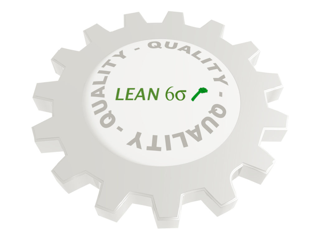 Lean Six Sigma Green Belt (LSSGB) – Kostman & Associates